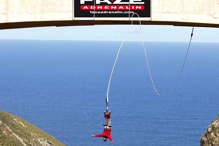 2-Day Garden Route Bungee Jump, Zipline & Shark Cage Diving tour