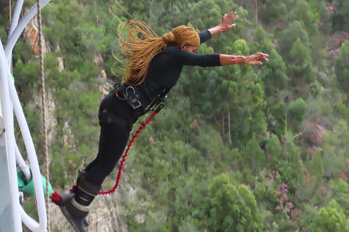 2-Day Garden Route Bungee Jump, Zipline & Shark Cage Diving tour