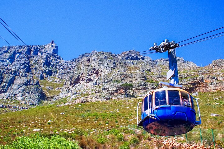 Cape Town Shore Tour: Table Mountain, Penguin & Cape Point