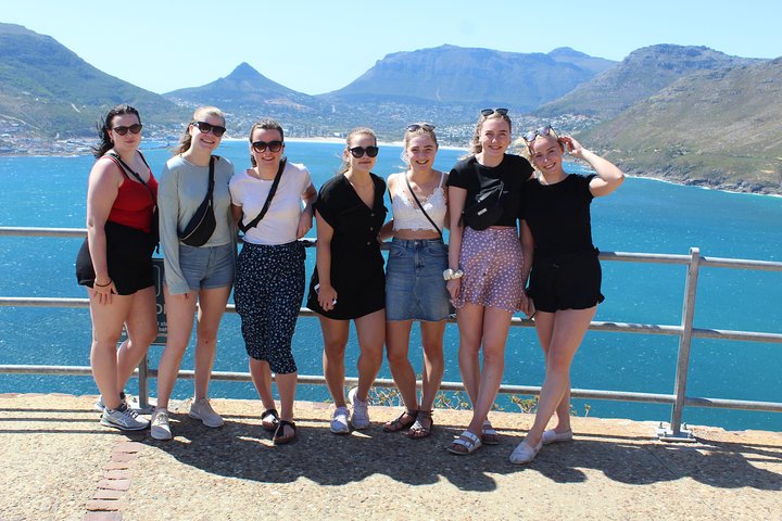 Whale Watching In Hermanus Penguins + Wine Tasting From Cape Town