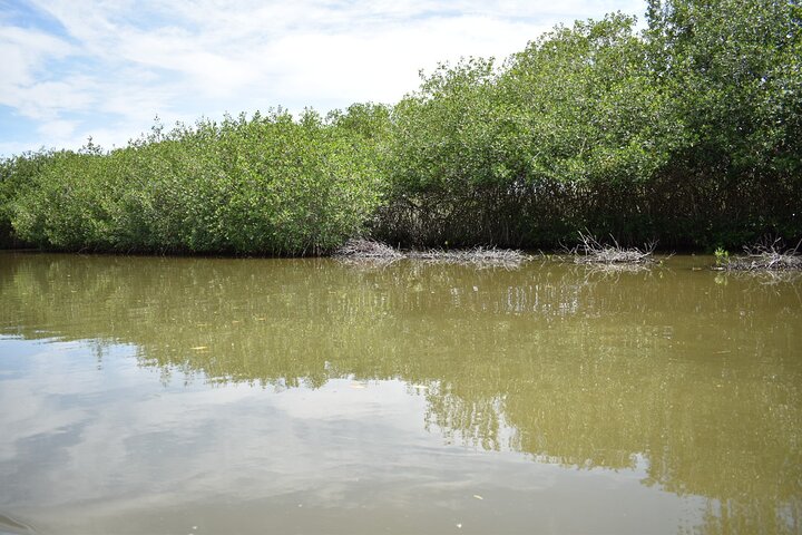 Full day tour of the mangrove swamp and mud volcano in Cartagena