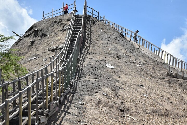 Full day tour of the mangrove swamp and mud volcano in Cartagena