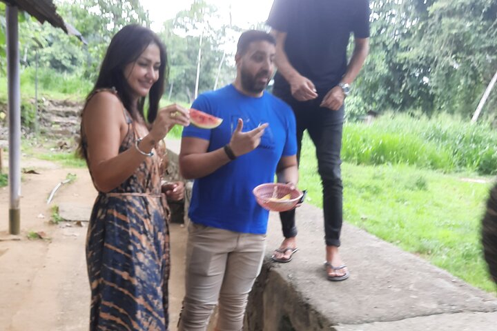 Guided round tour in srilanka