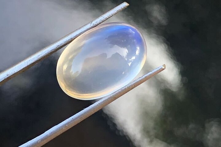 Shore Excursion Colombo Port Passenger Jetty to Galle and back