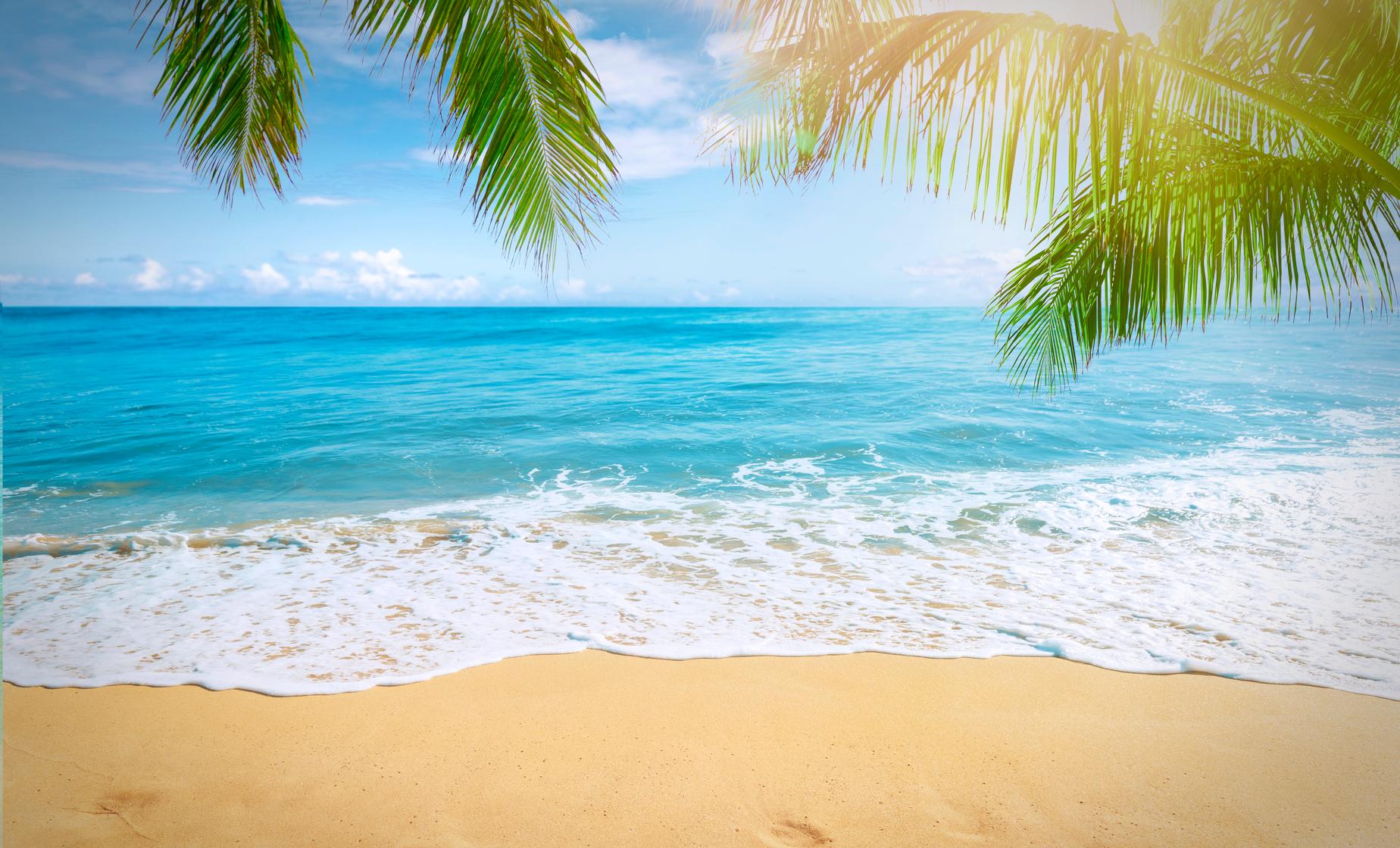 Playa Uvas Beach Getaway (Beverages & Food)