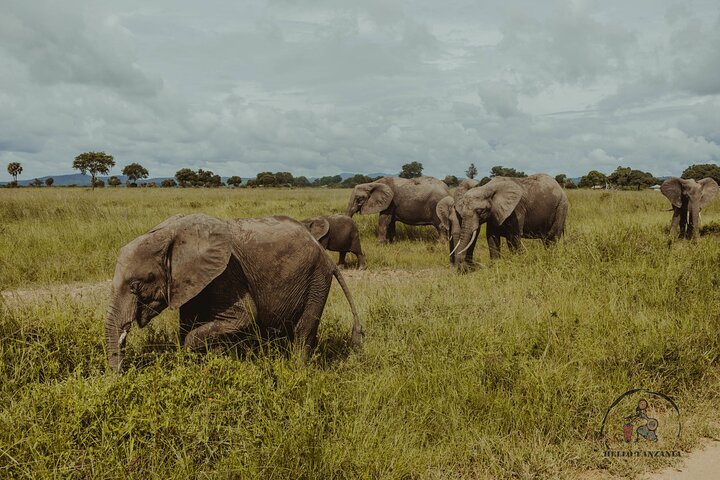 Culture and wildlife in 3 days- Mikumi -Uluguru Trip