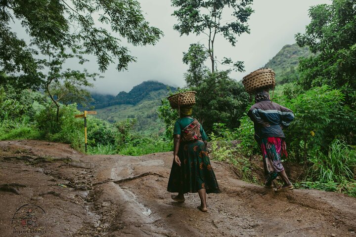 Culture and wildlife in 3 days- Mikumi -Uluguru Trip