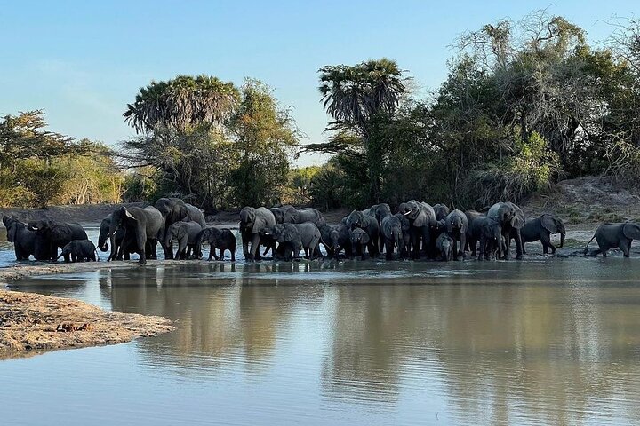 Saadani National Park Day Tour
