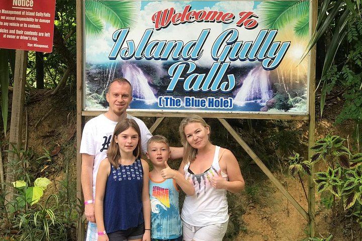 Blue Hole / Secret Falls & Jamaica Sightseen Private Tour