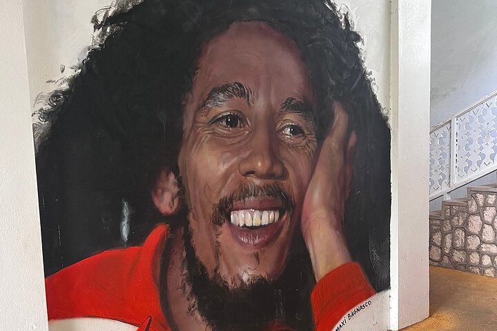 Bob Marley Culture and Dunn's River Falls Experience Montego Bay