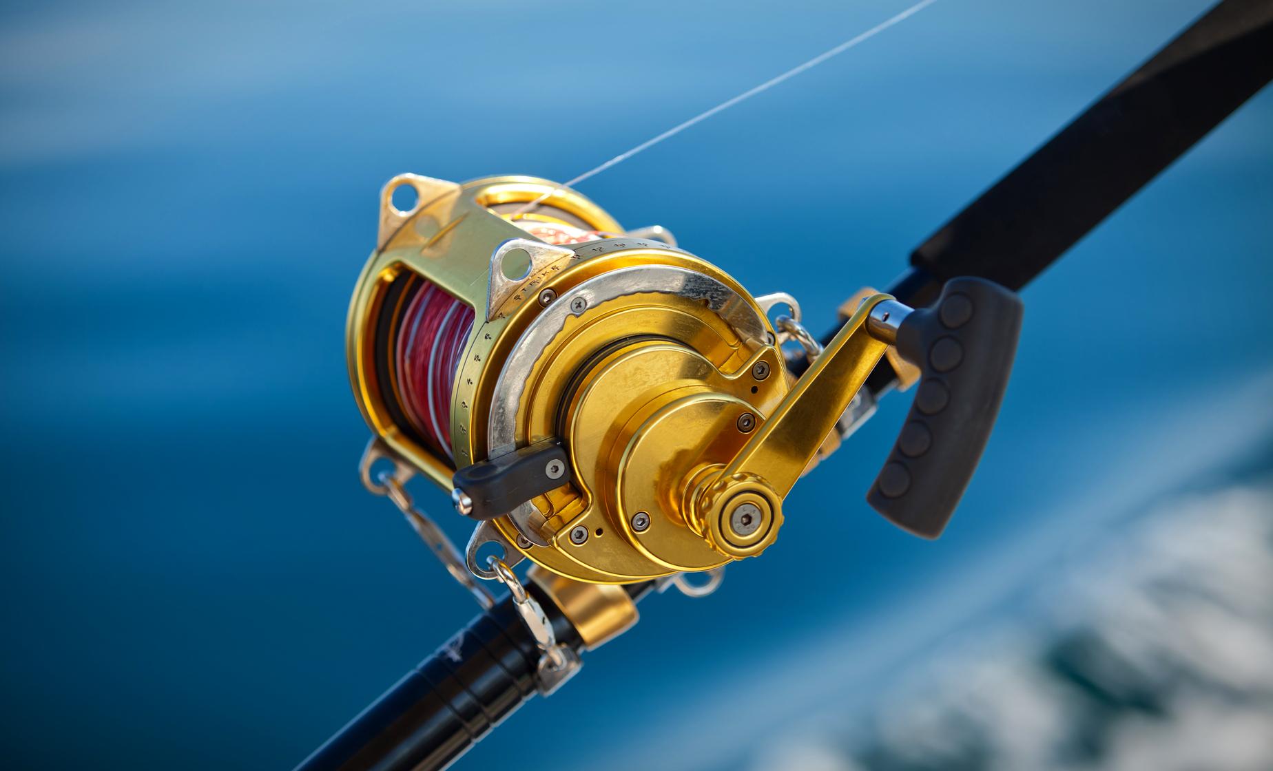 Private Deep Sea Sport Fishing