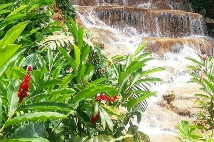 Blue Hole And Konoko Falls Combo Tour From Ocho Rios & Runaway Bay!