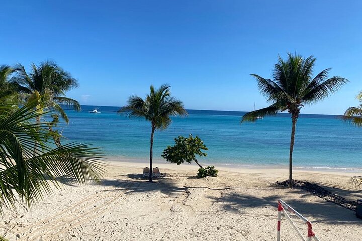 Ocho Rios City Bus Tour (Beach, Sightseeing & Shopping)