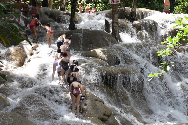 Ocho Rios Highlight Tour