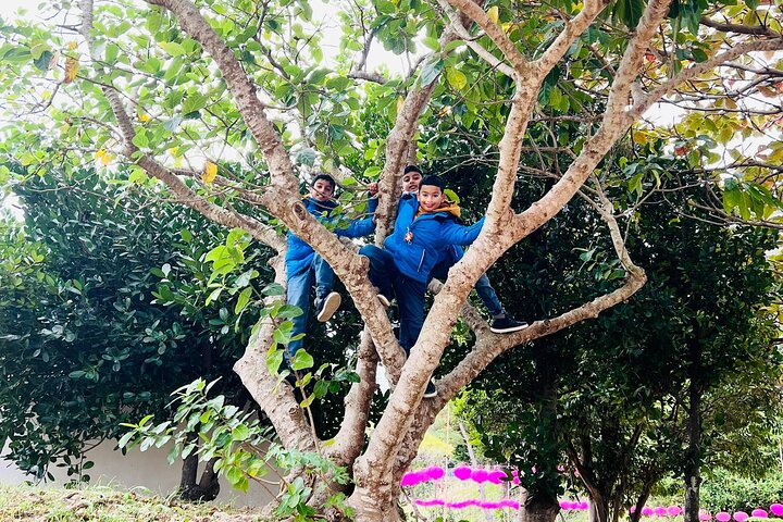 Port Pick-Up: Naha Private Tour Licensed Guide＆ Vehicle