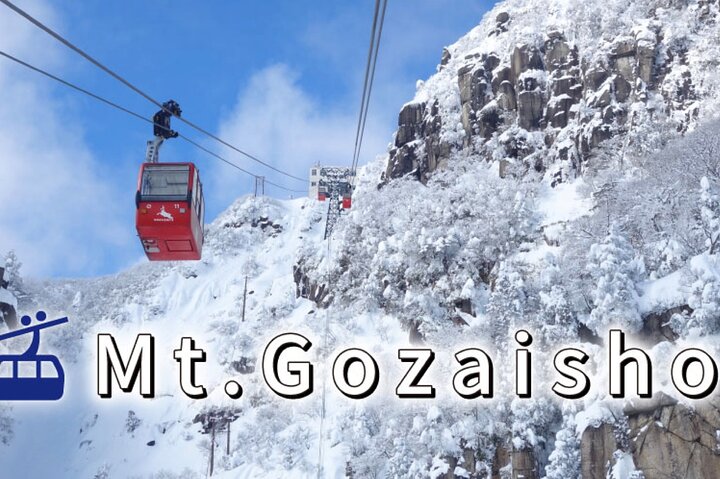 Private & Custom NABANA NO SATO Day Tour by HIACE (Max 9 Pax)