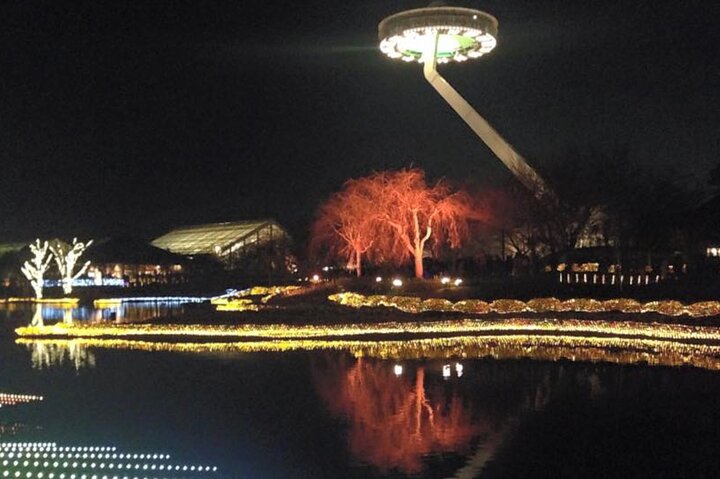 Private & Custom NABANA NO SATO Day Tour by Toyota COASTER/MICROBUS ...