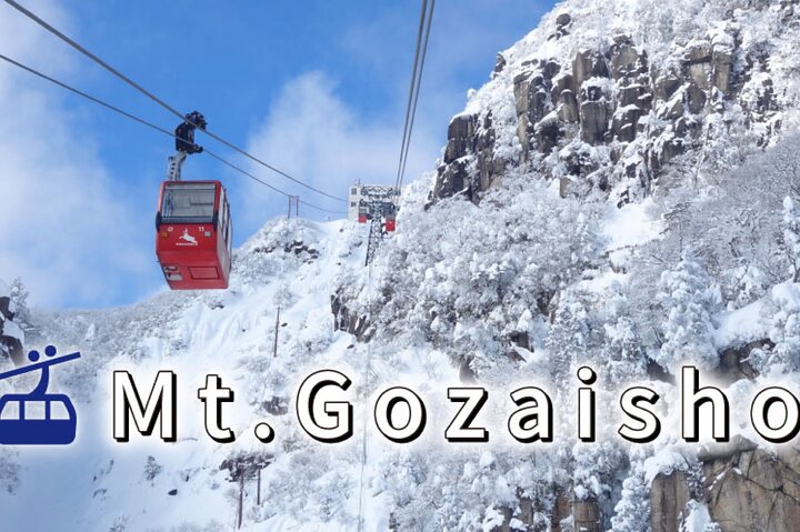 Private & Custom NABANA NO SATO Day Tour by Toyota COASTER/MICROBUS ...