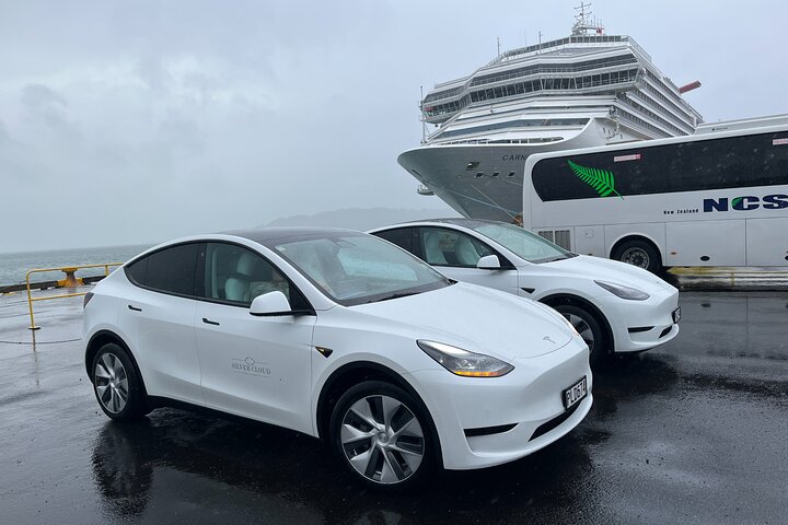 Wellington Private Tandem Tesla Tour